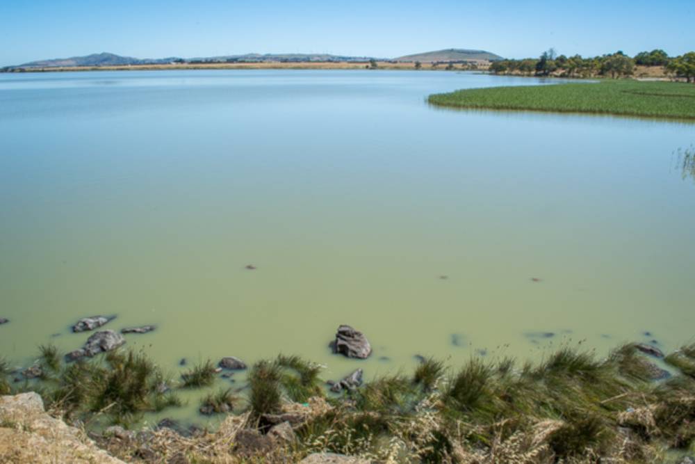 Lake Burrumbeet Picnic Lookout | Goldfields Guide