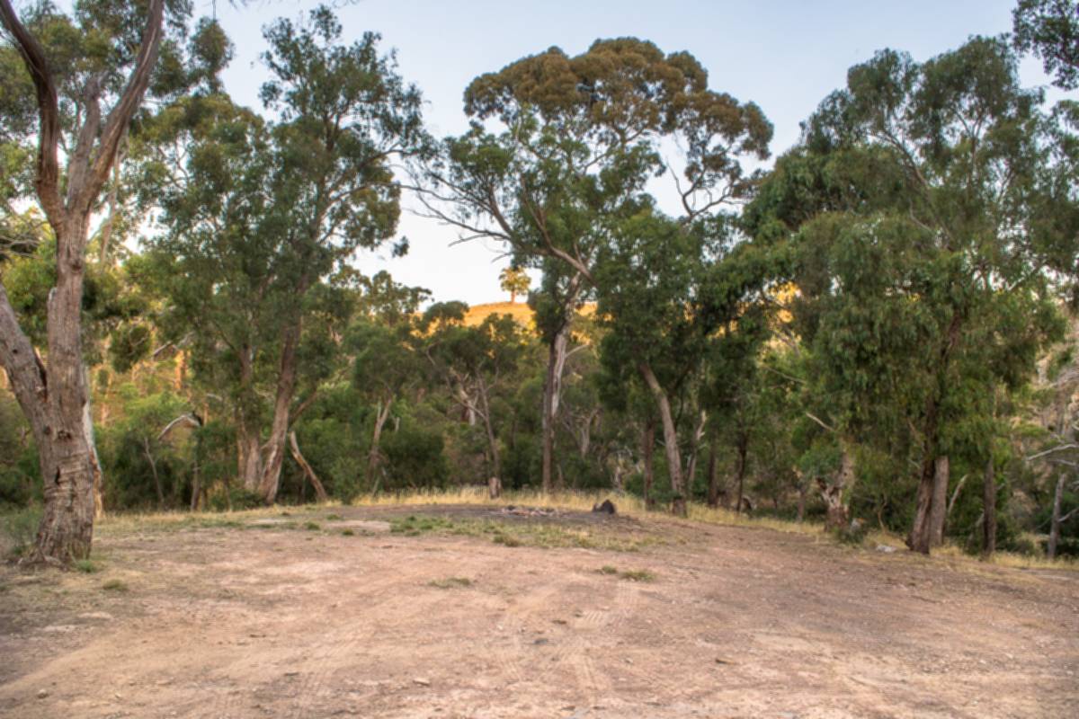 Dollys Creek Day Visit Area | Goldfields Guide