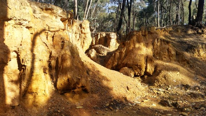 Dead Dog Gully Alluvial Gold Workings | Goldfields Guide