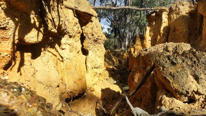 Dead Dog Gully Alluvial Gold Workings | Goldfields Guide