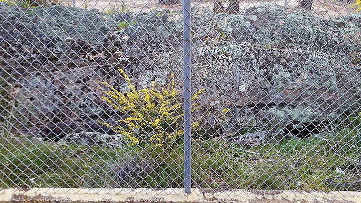 Bull Gully Aboriginal Rock Wells | Goldfields Guide