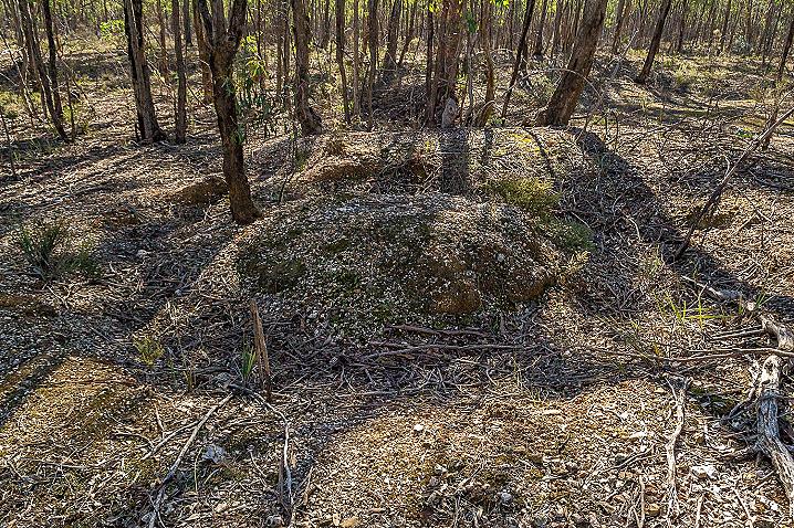 Waterloo Lead Puddler No. 1 | Goldfields Guide