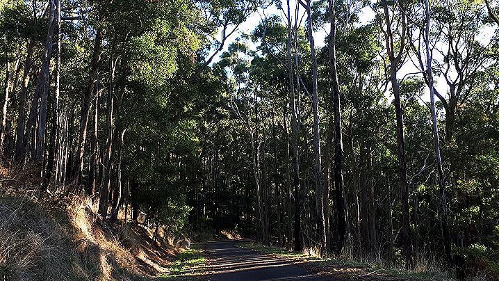 Mount Warrenheip Nature Conservation Reserve | Goldfields Guide