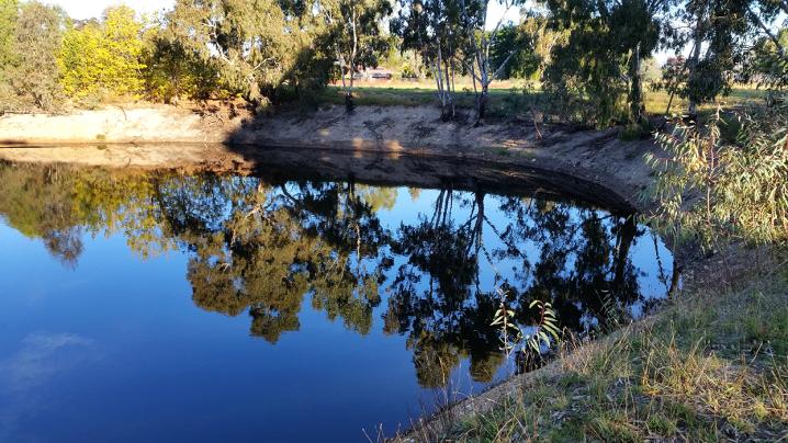 Dunolly Dredge Hole Walking Track | Goldfields Guide