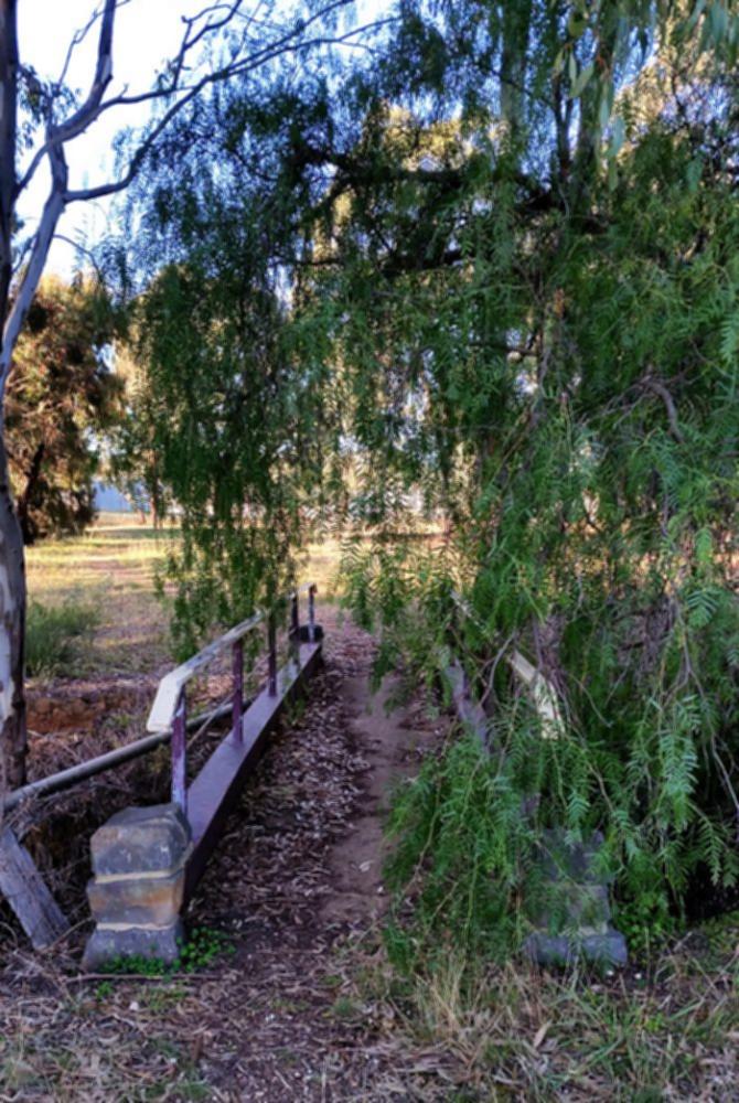 Dunolly Dredge Hole Walking Track | Goldfields Guide