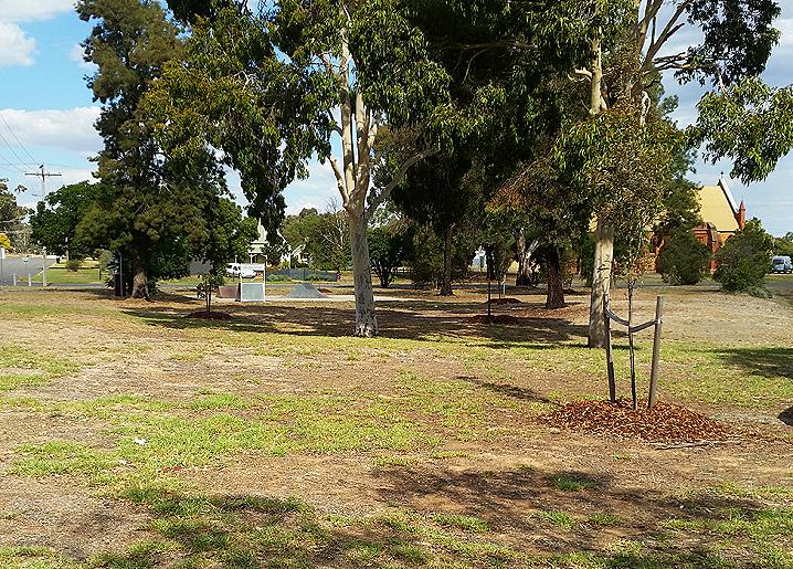 Dunolly Skate Park | Goldfields Guide