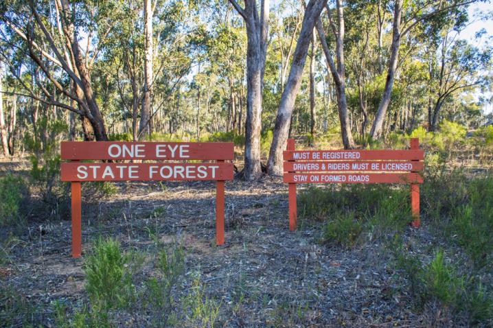 One Eye State Forest | Goldfields Guide