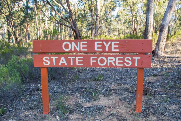 One Eye State Forest | Goldfields Guide
