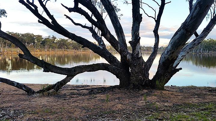 Laanecoorie Ankers Causeway Picnic Area | Goldfields Guide