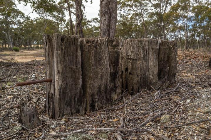 Great Sandstone Mine | Goldfields Guide