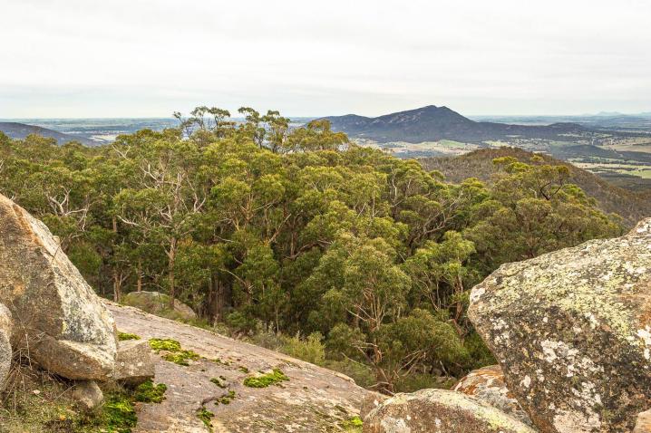 Ben Nevis Lookout | Goldfields Guide