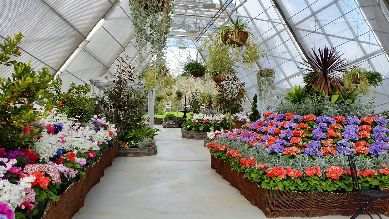 Robert Clark Conservatory | Goldfields Guide