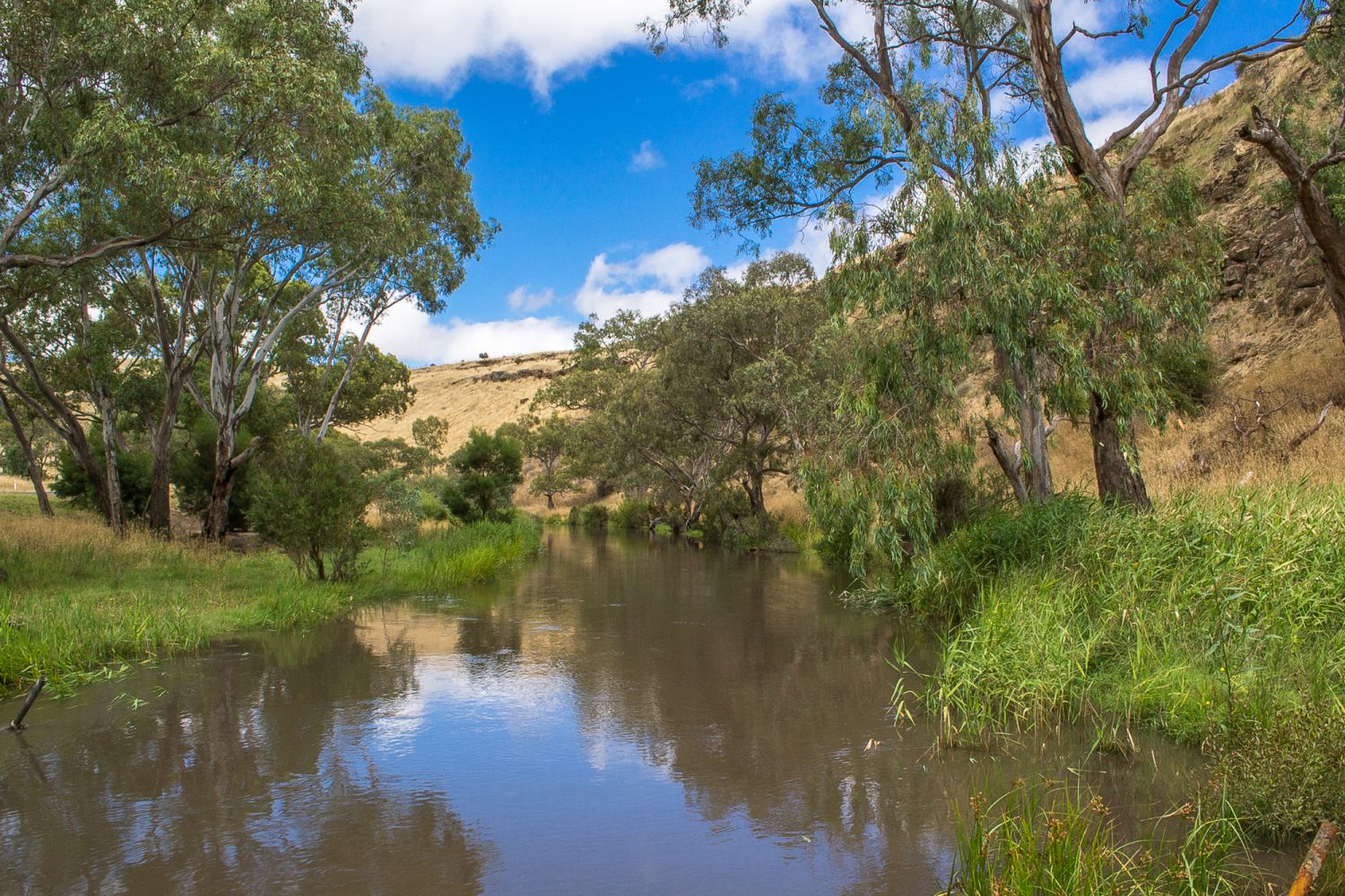 Mount Cameron Gorge | Goldfields Guide