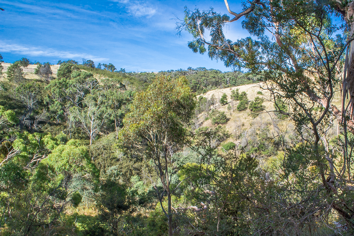 Moorabool River Camping Area | Goldfields Guide